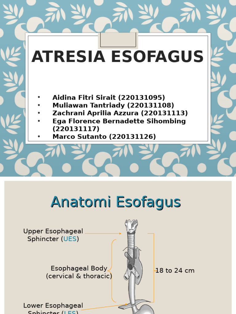 Atresia Esofagus | PDF