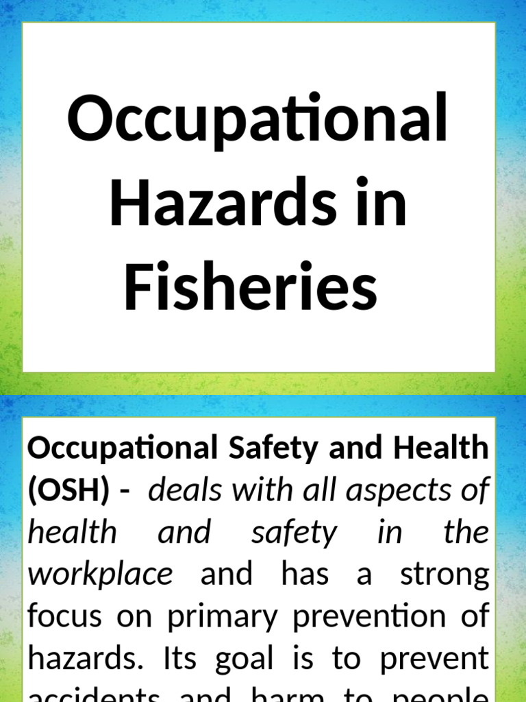 Occupational Hazard in Fisheries | PDF | Particulates | Hazards