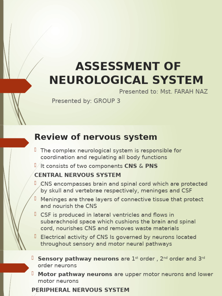 Neurological System Assessment Overview | PDF | Central Nervous System ...