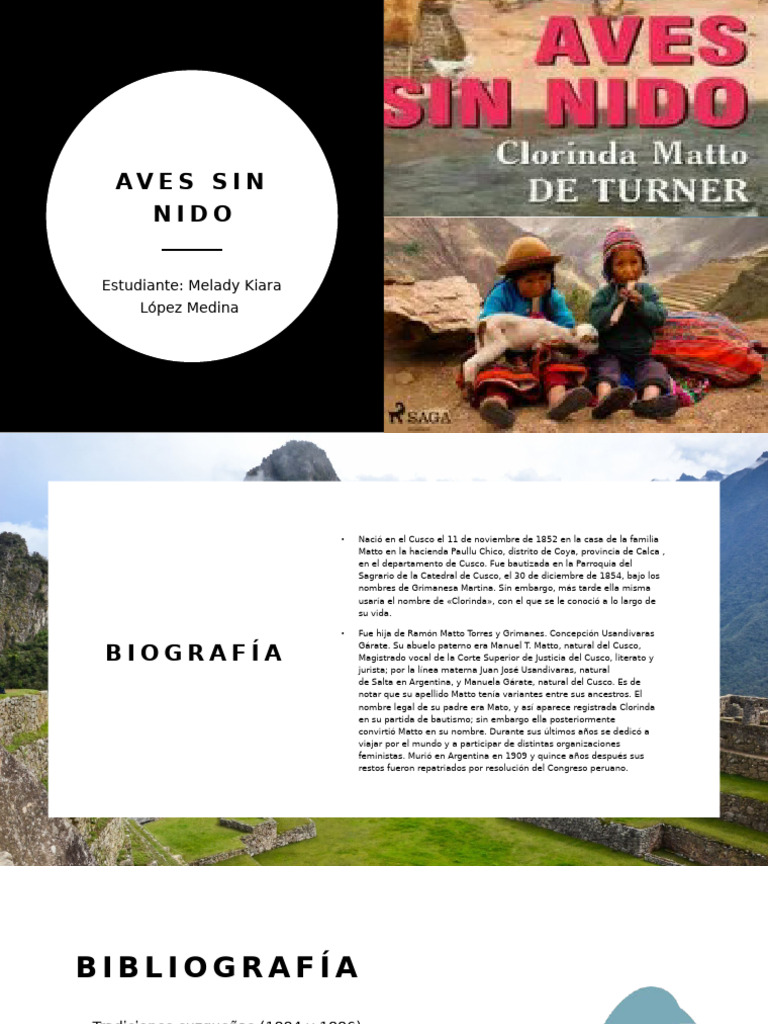 Aves Sin Nido Material | PDF