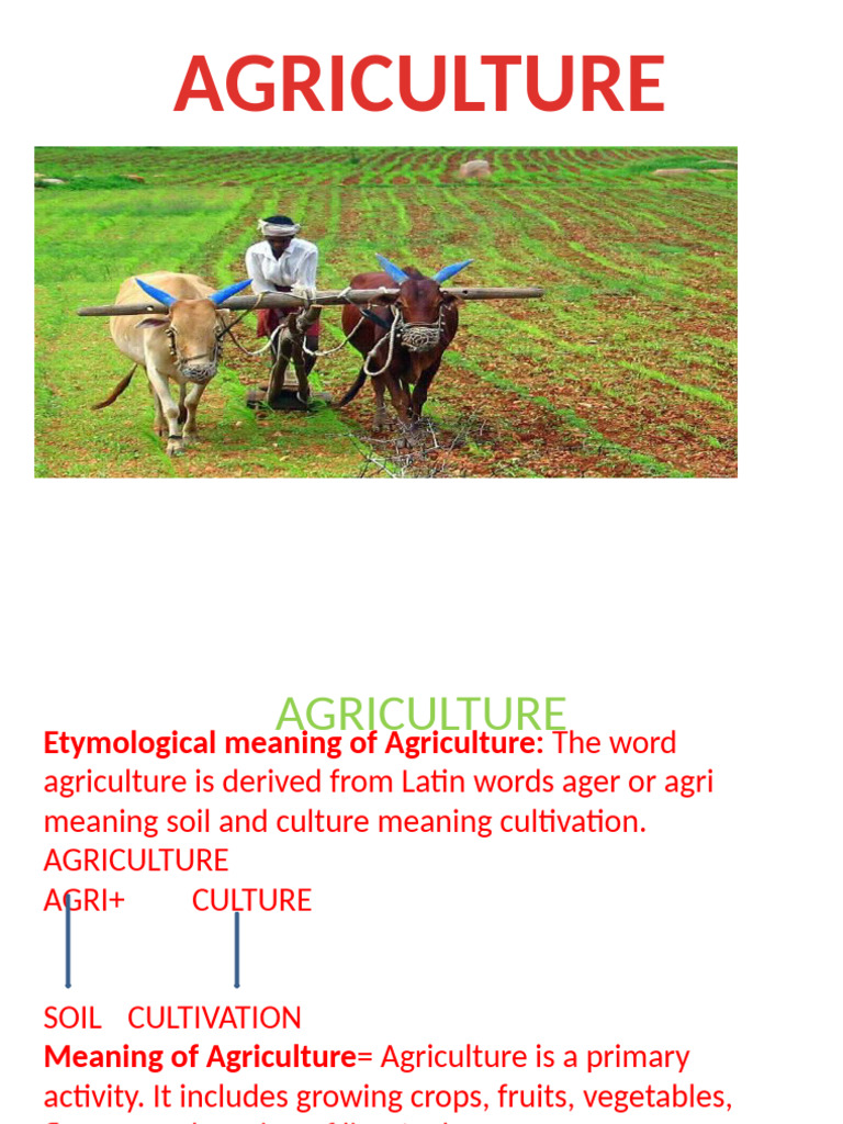 Understanding Agriculture and Its Types | PDF | Agriculture | Food Industry