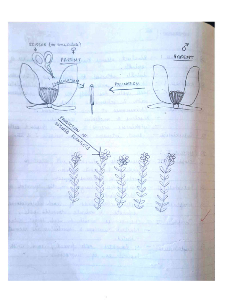 Biology Practical 12 Controlled Pol Pdf
