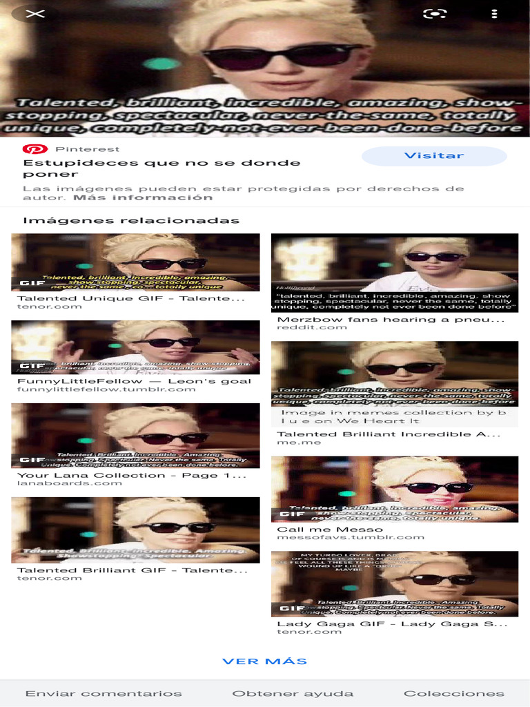 Memes de Lady Gaga Talentosos | PDF