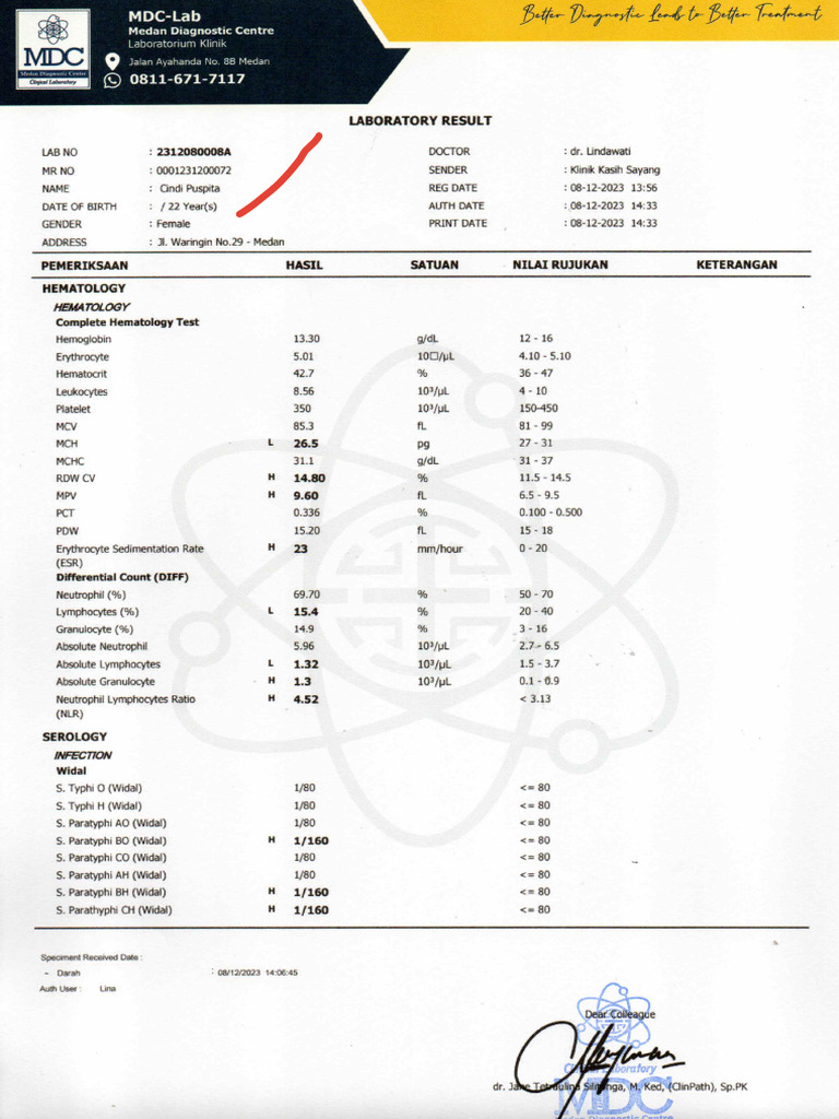 MDC - Cindi Puspita - KKS | PDF