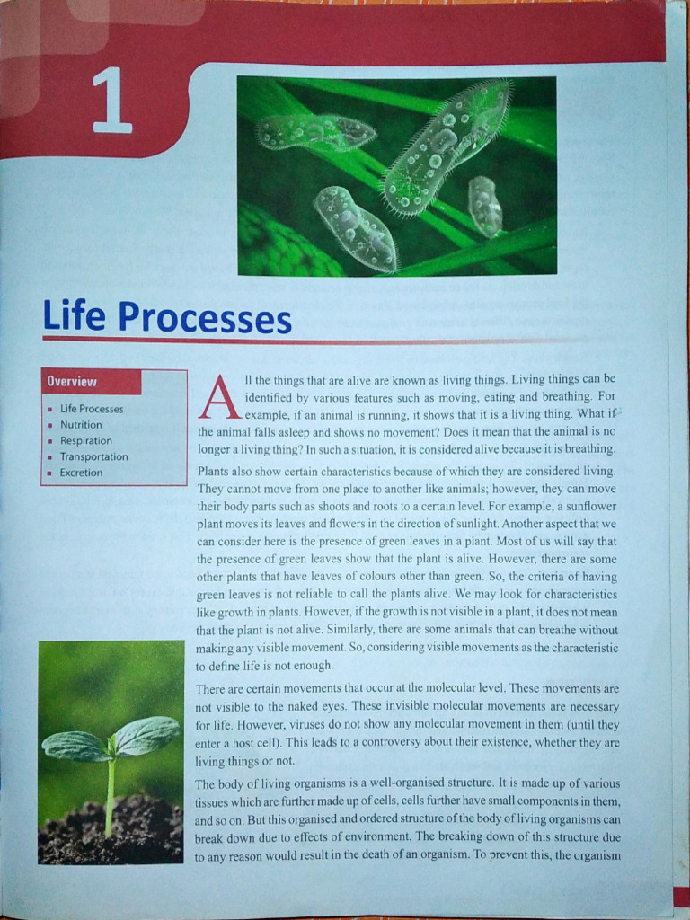 Bio Pdf