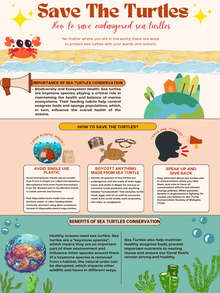 Copy of Save The Turtles Poster | PDF | Sea Turtle | Sea