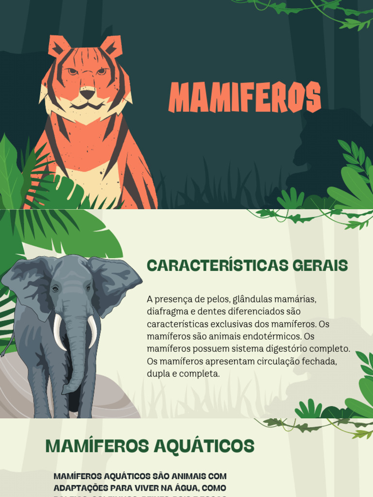 mamíferos | PDF | Mamíferos | Marsupiais