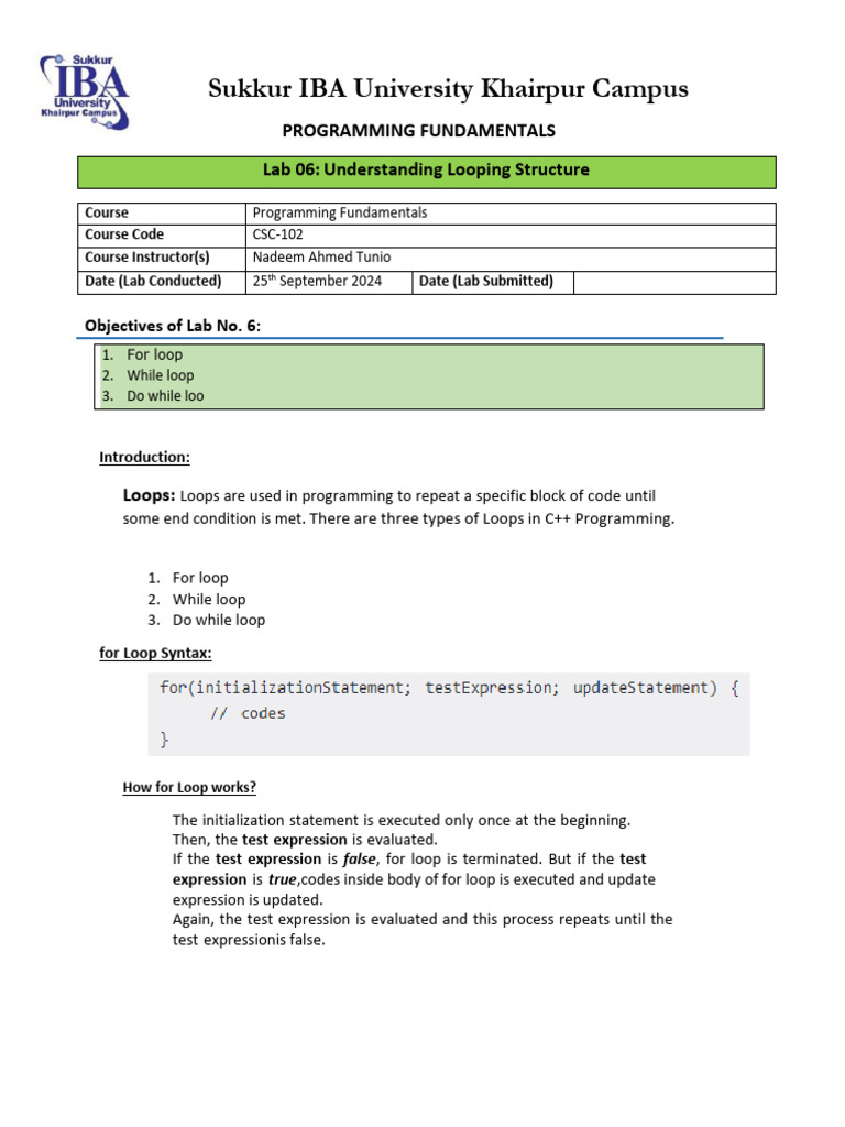 Lab 06 | PDF | Control Flow | Computing