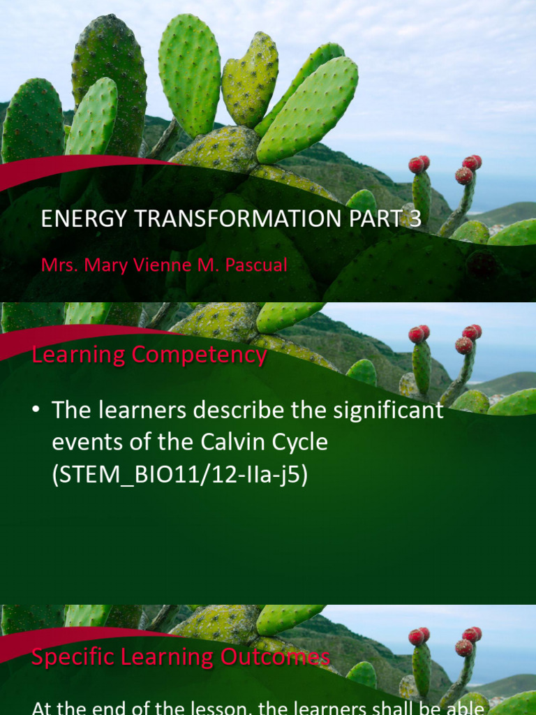 5.energy Transformation Part 3 | PDF | Photosynthesis | Plants