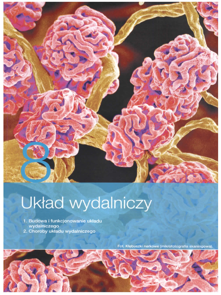 MOCZ | PDF