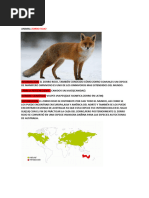 Prospecto Regulane | PDF