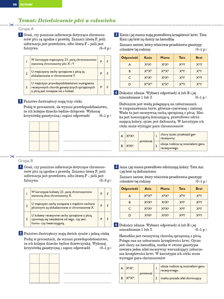 Kartkowka Dziedziczenie Plci U Czlowieka | PDF