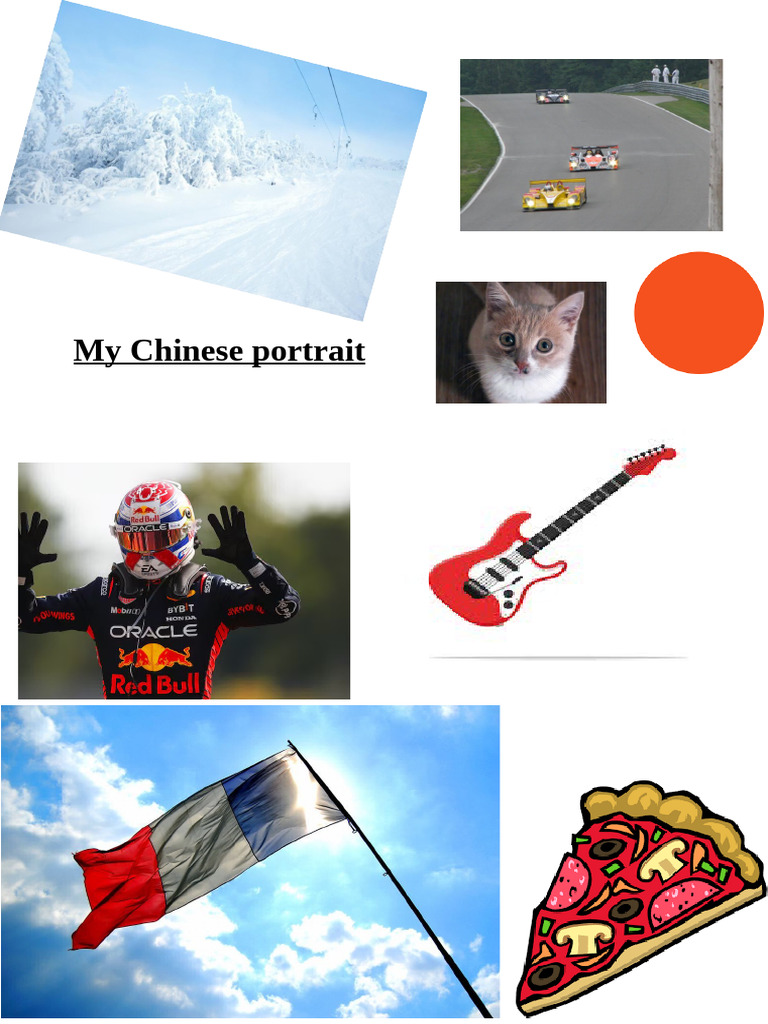 My Chinese Portrait | PDF