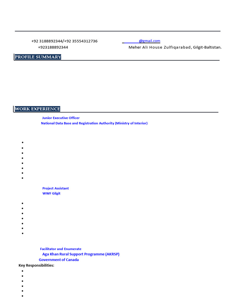 tahir professional cv (1) | PDF