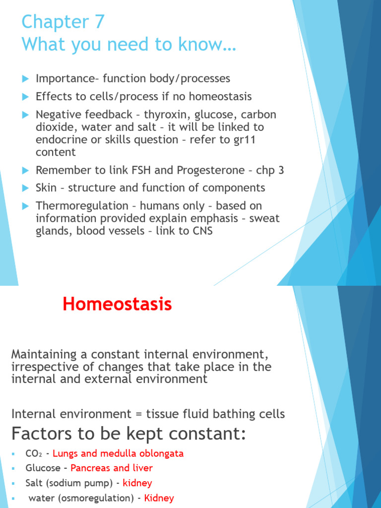 The Endocrine System PG 78-81 | PDF | Hypothermia | Thermoregulation