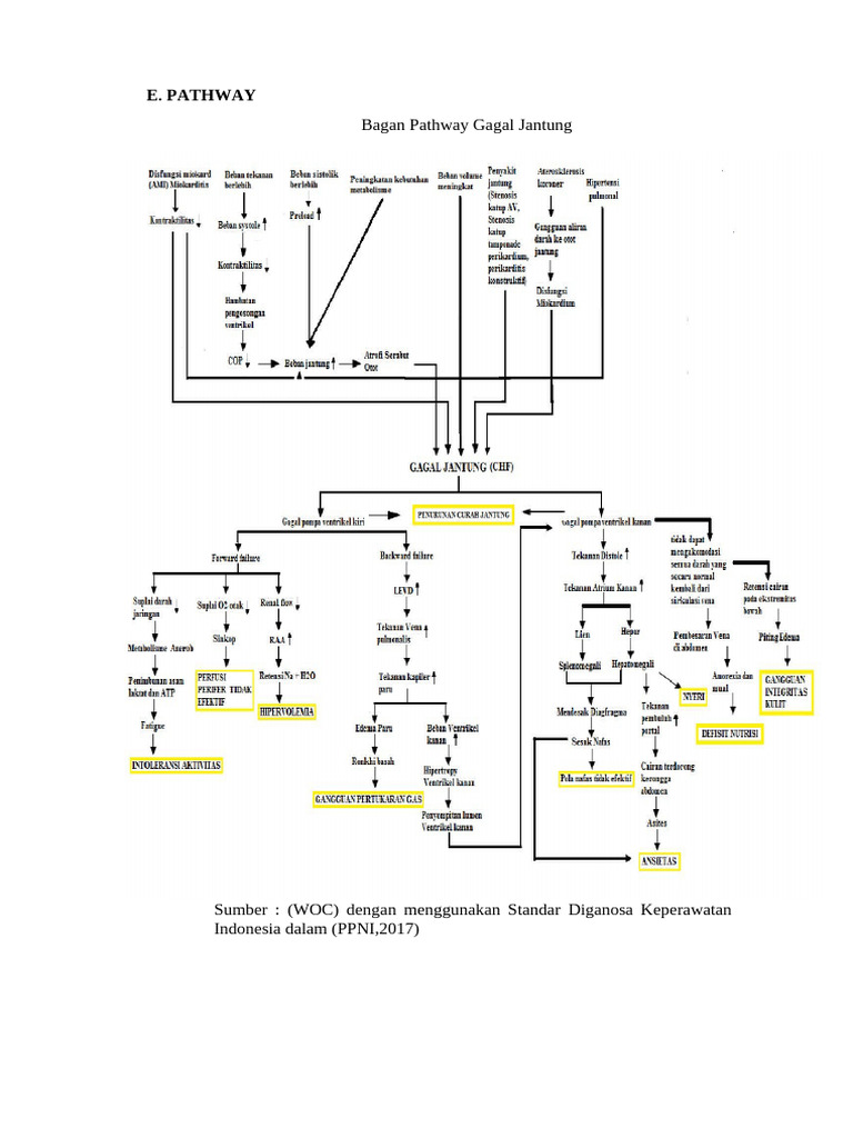 Pathway CHF | PDF