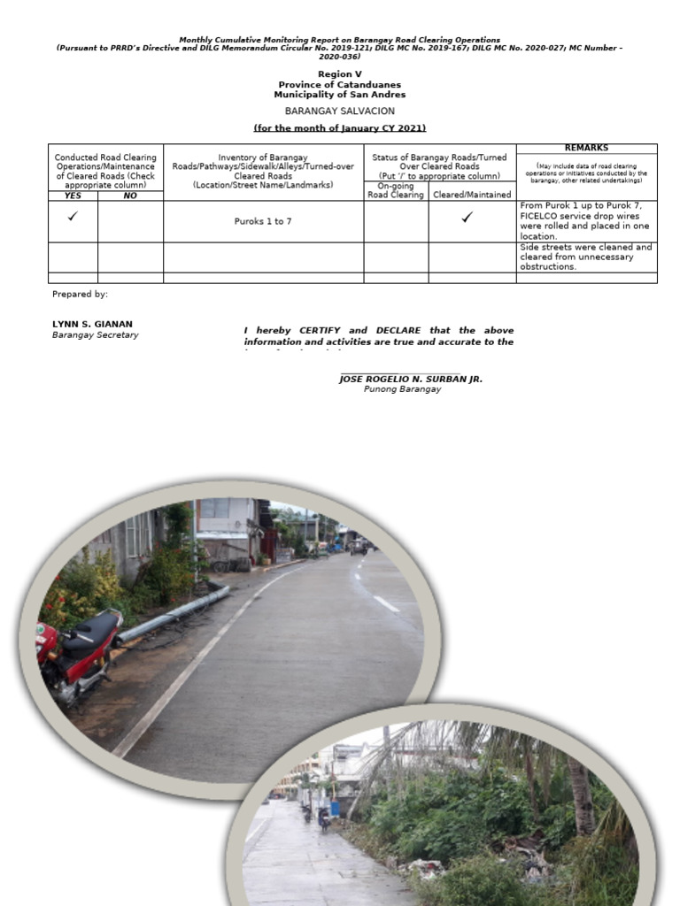 Road Clearing Report New | PDF