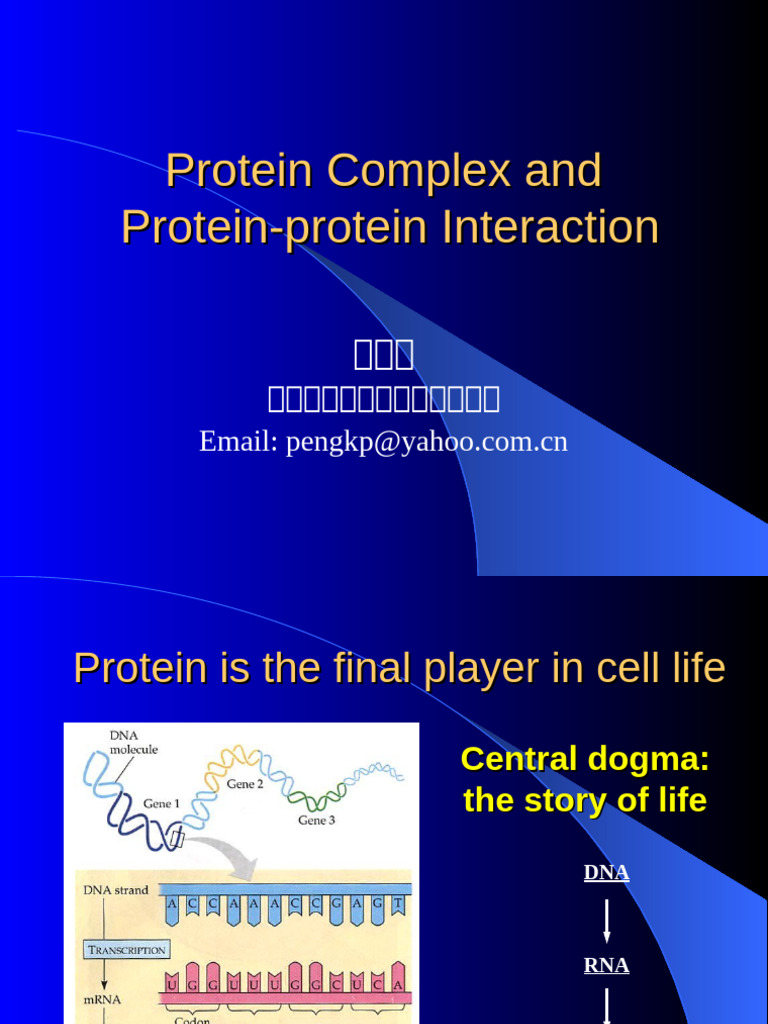 Understanding Protein Complexes and Interactions | PDF ...