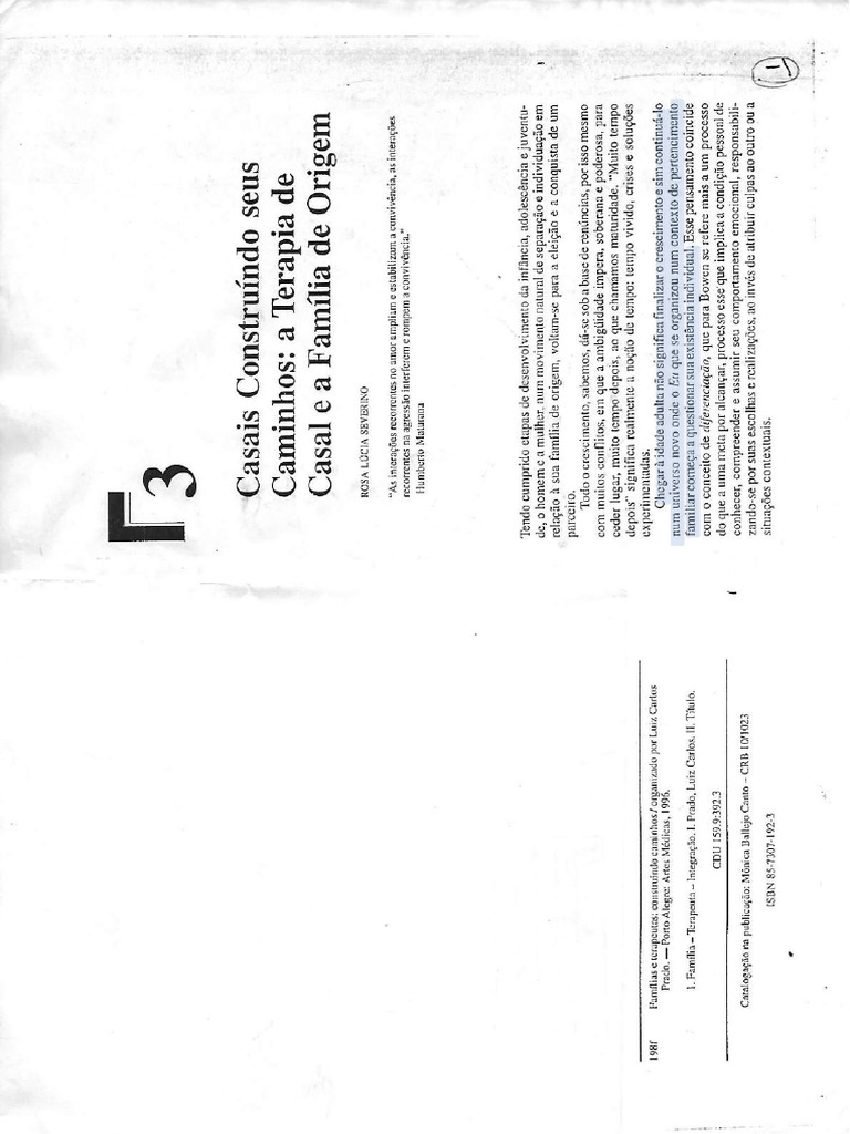SEVERINO Casais Construindo Caminhos Compactado - 241202 - 080720 | PDF
