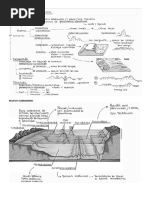 Formas do Relevo Submarino e Suas Características | PDF | Ciências ...