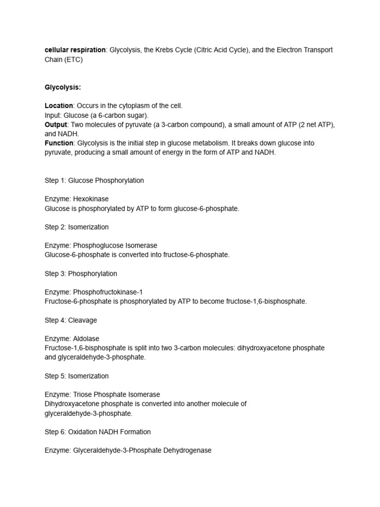 Cellular Respiration Glycolysis, The Krebs Cycle Citric Acid Cycle ...