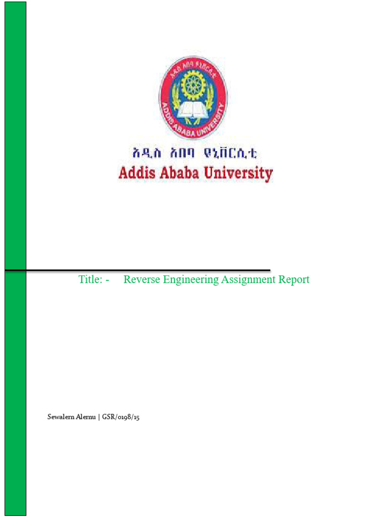 Reverse Engineering Assignment | PDF | Pointer (Computer Programming) | Debugging