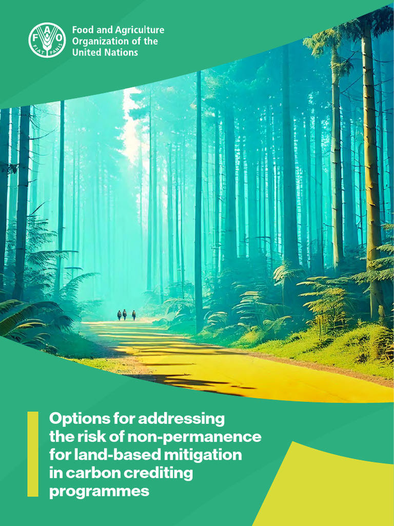 Options For Addressing The Risk of Non-Permanence For Land-Based ...