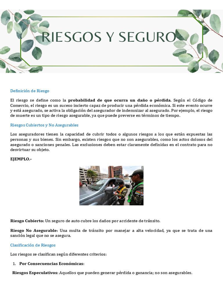Resumen de Riesgo y Seguro 2 | PDF | Riesgo | Seguro