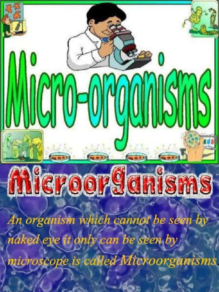 microorganisms-grade 6 | PDF