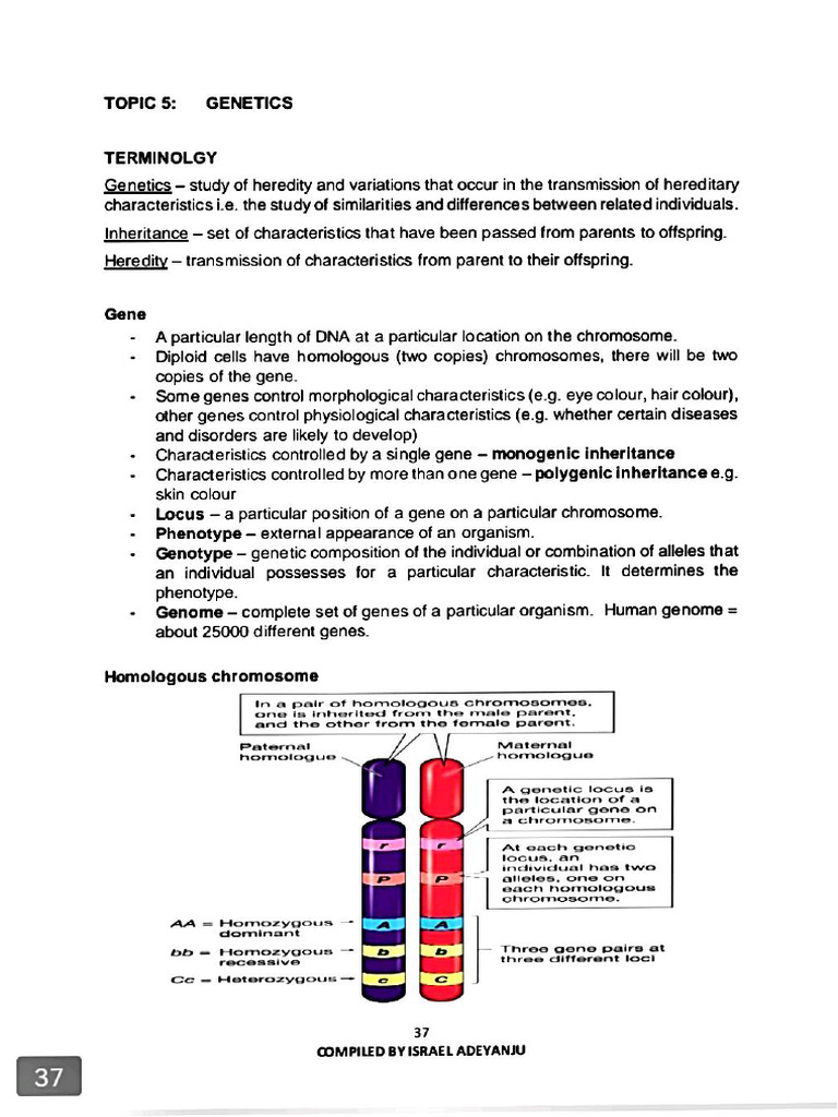 Genetics Revision gr12 | PDF