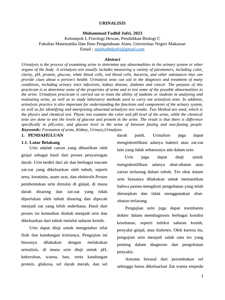 Laporan Urinalisis - Muh Fadhil Jufri | PDF