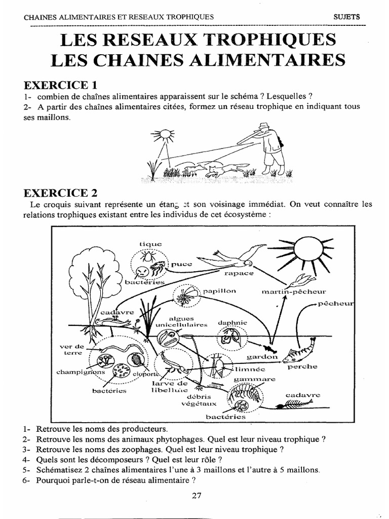 Relations Trophiques Chaines Alimentaire-Exercice1-2 | PDF