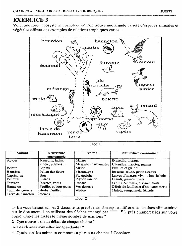 relations trophiques chaines alimentaire-exercice3 | PDF