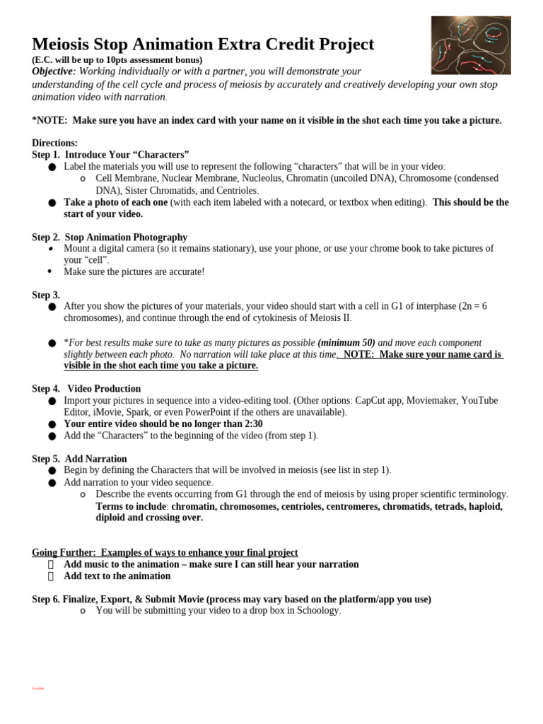 Meiosis Stop Animation Project Guide | PDF | Meiosis | Chromosome