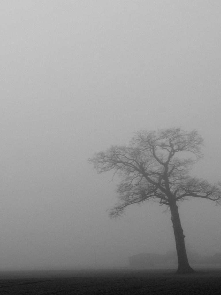 AI Poem | PDF | Artificial Intelligence | Intelligence (AI) & Semantics