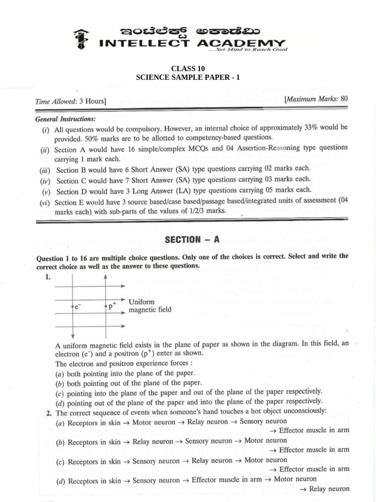 Sample Paper | PDF