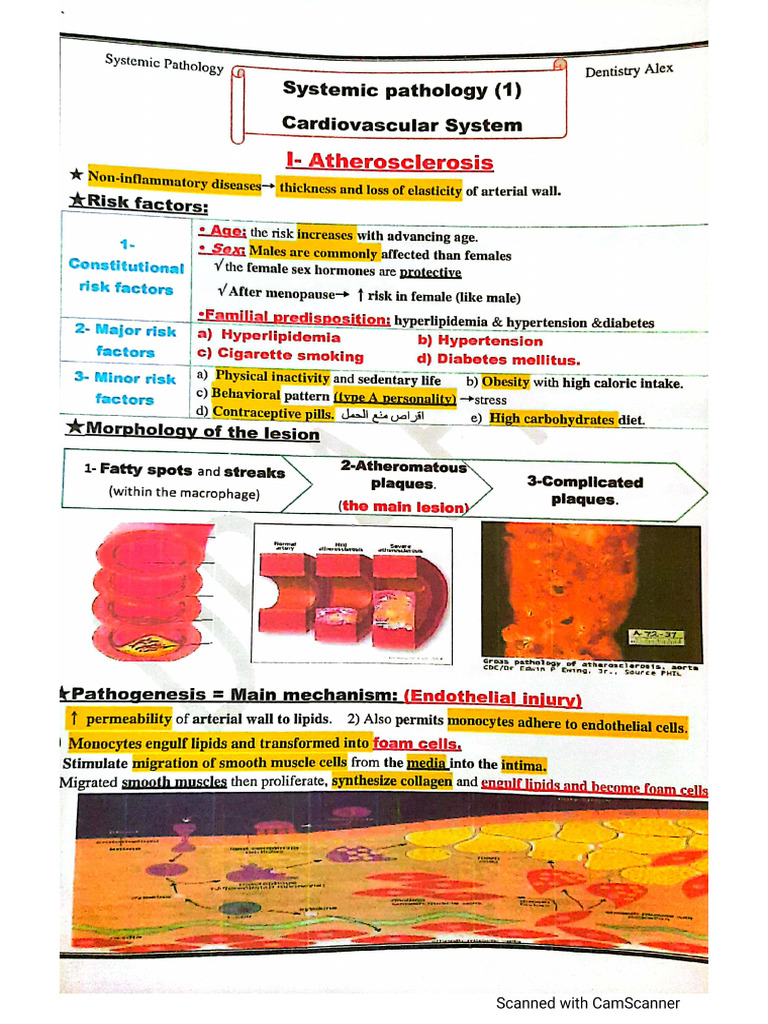 Pathology 1 | PDF