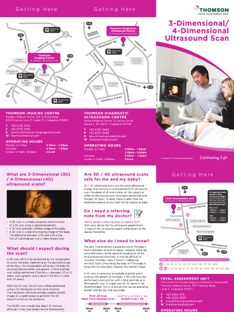 Brochure-3D4D-Ultrasound-Scan | PDF