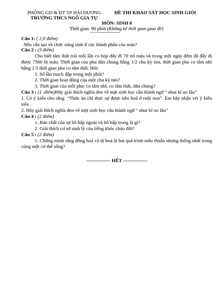 ĐỀ KHẢO SÁT HSG 8 | PDF