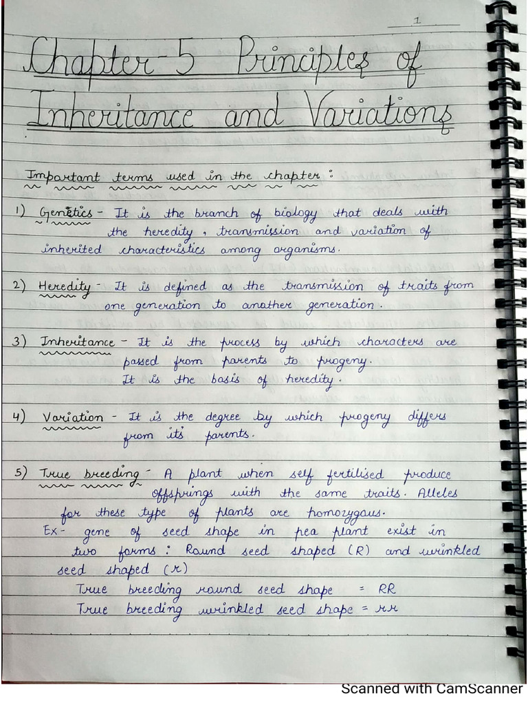 Principles of Inheritance Notes by ChemiStudious | PDF