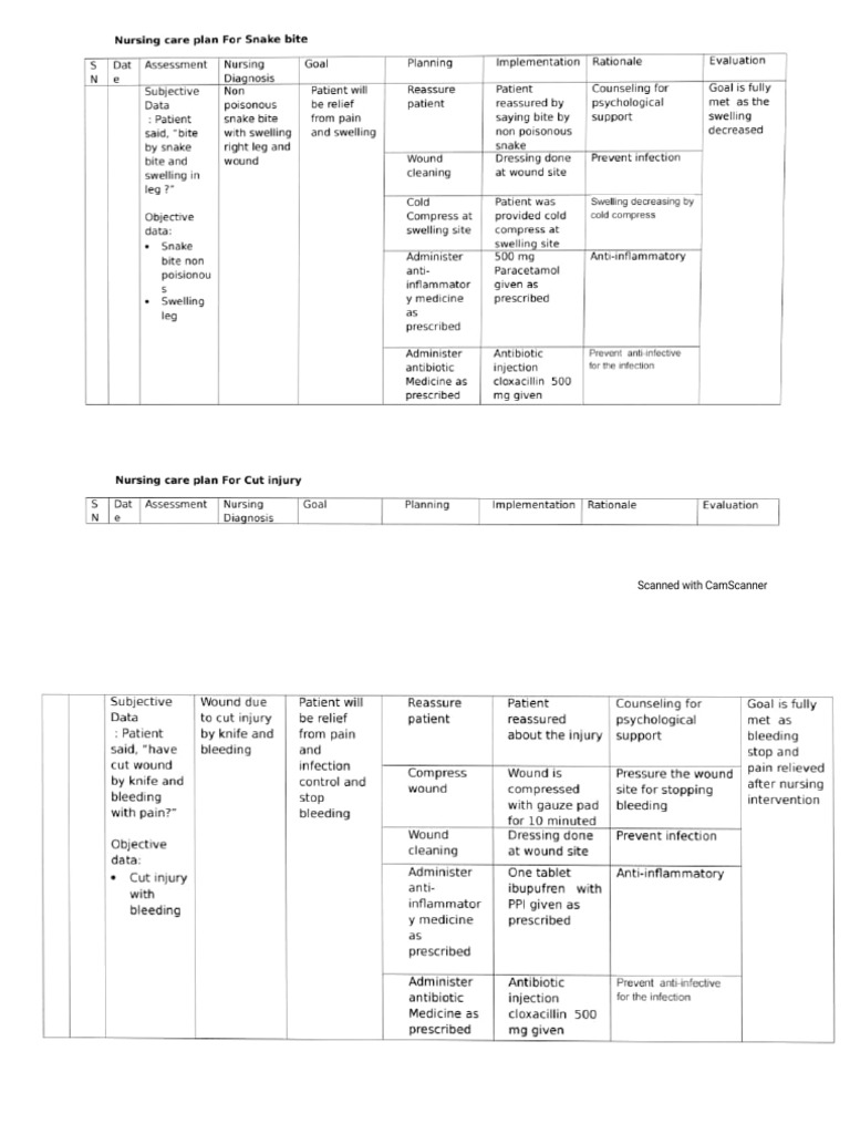 snake bite Ncp | PDF