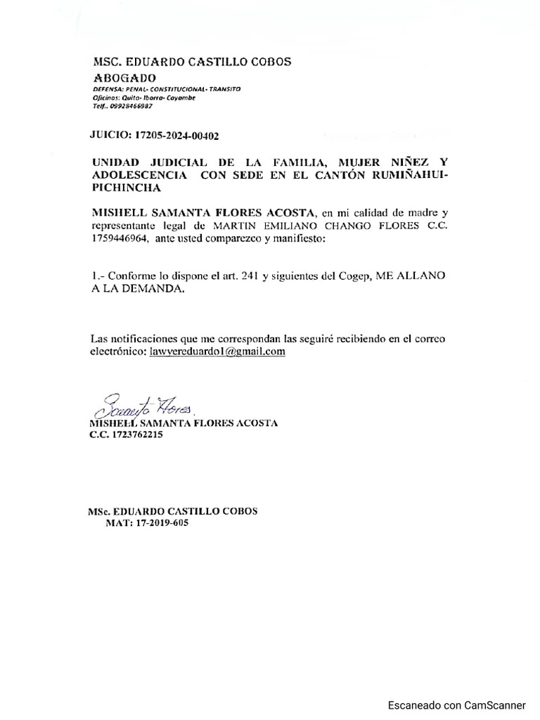 Allanamiento Mishell Flores | PDF