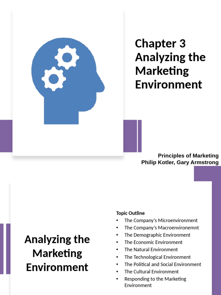 Chapter 3 | PDF | Marketing | Demography