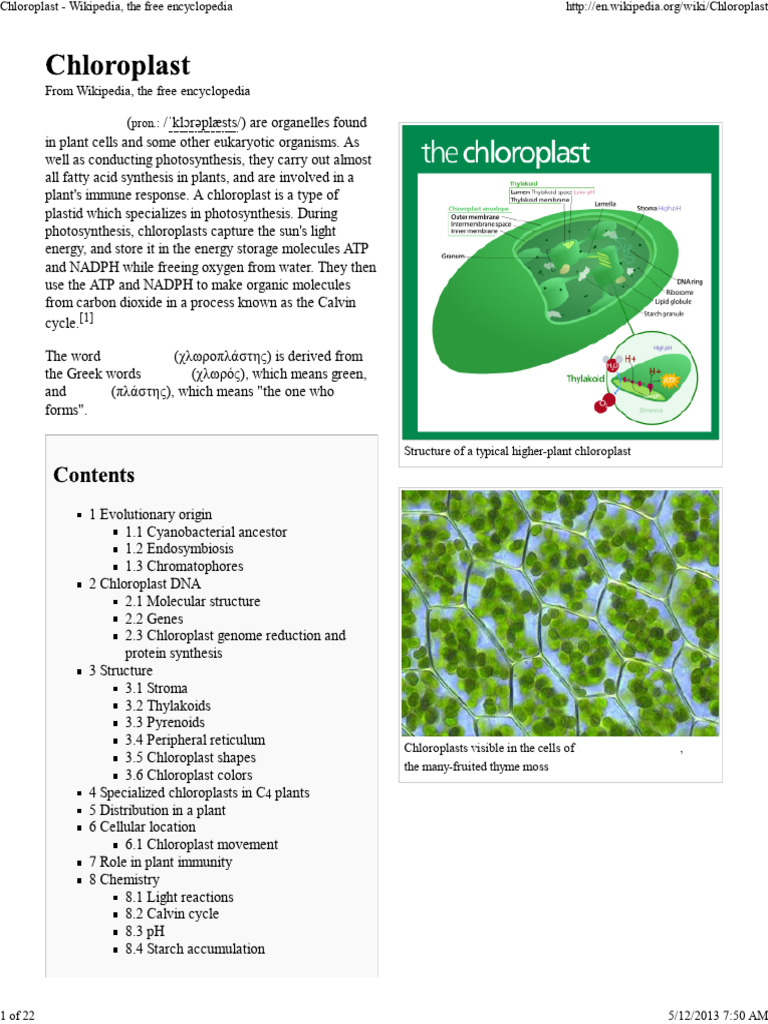 Chloroplast - Wikipedia, the free encyclopedia | PDF | Chloroplast | Photosynthesis