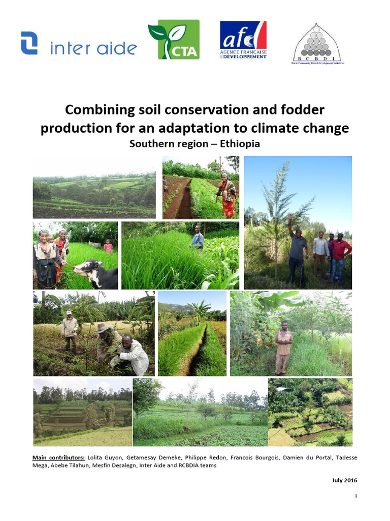 Soil Conservation & Fodder in Ethiopia | PDF | Agriculture | Plant Nursery