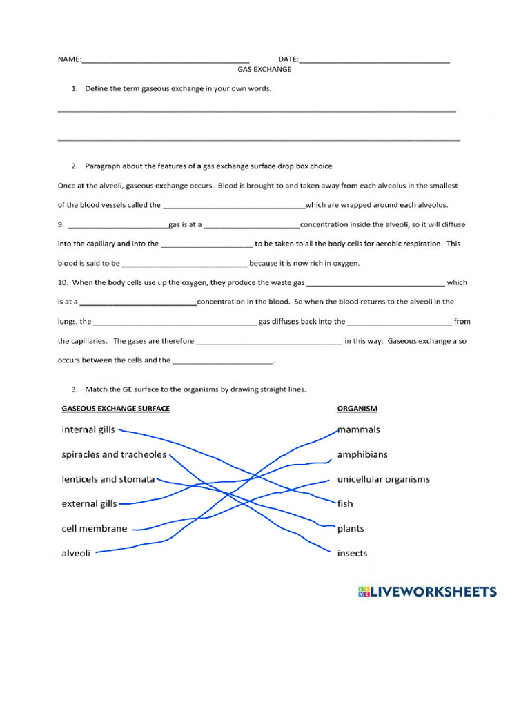 SCIENCE REVISION WORKSHEET | PDF