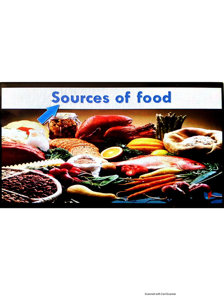 Sources of Foo | PDF