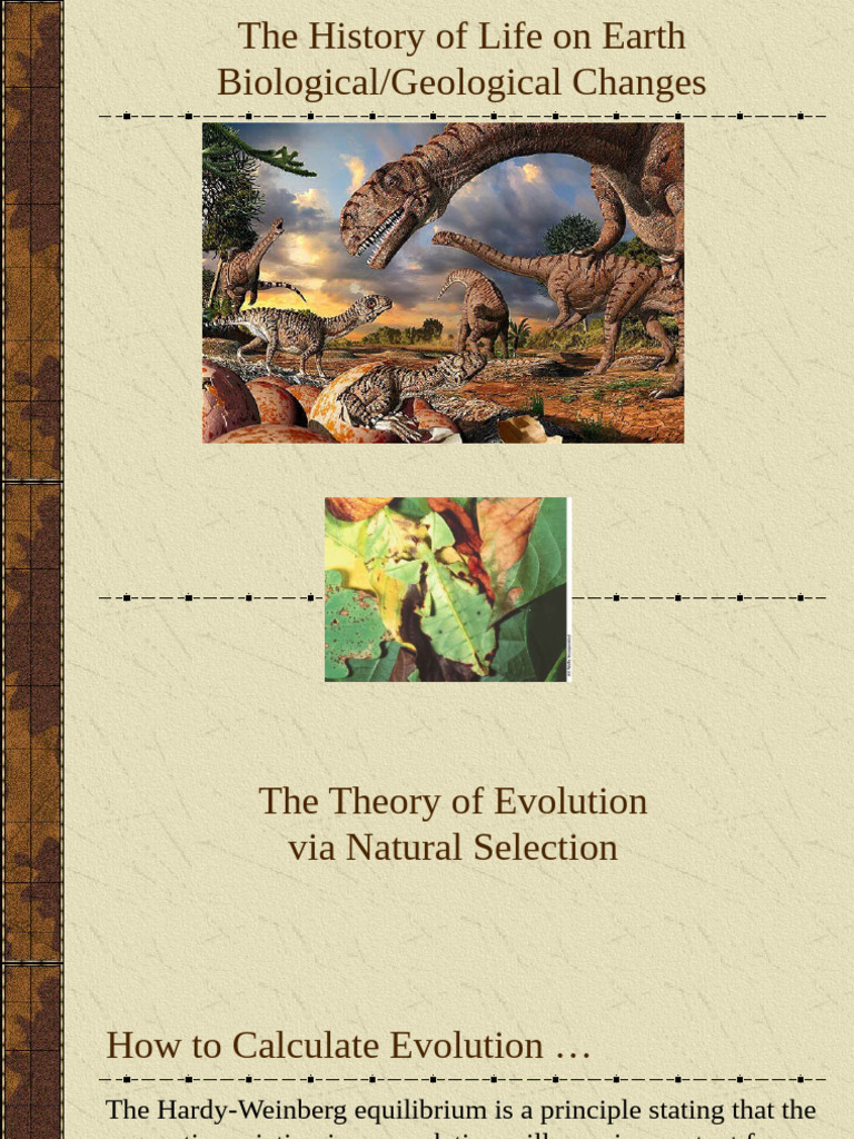 Natural Selection and Evolution Notes | PDF | Evolution | Natural Selection