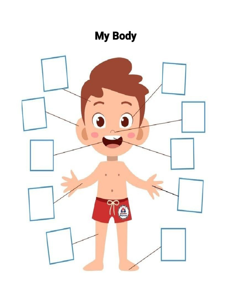 My Body-WPS Office | PDF