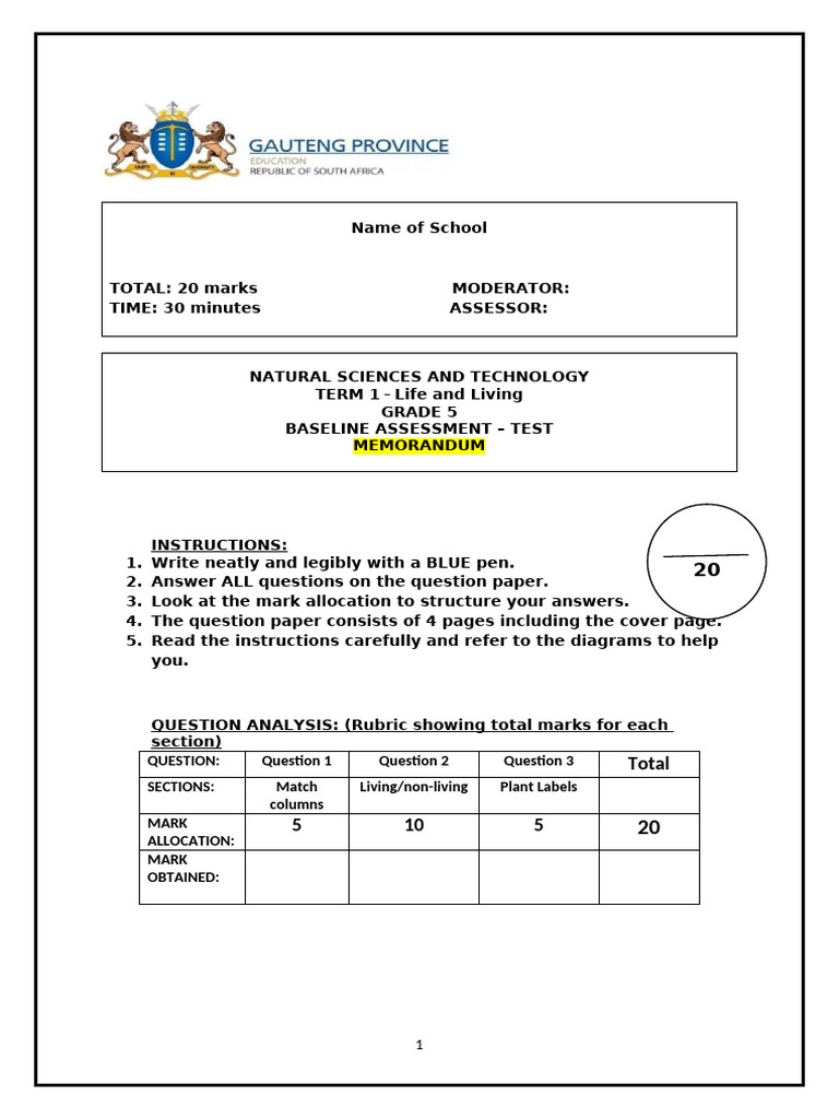 MEMO - JN Baseline Assessment - Grade 5 NST 2025 | PDF